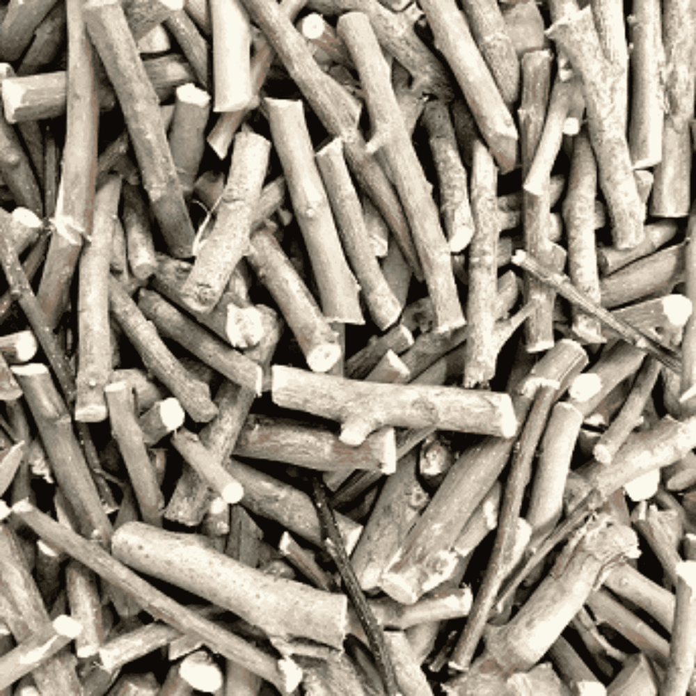 Apple Sticks – Chunky Chew Treat | Twigs & Burrows