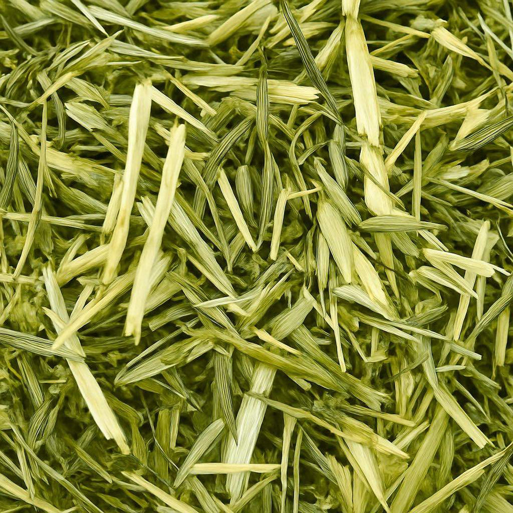 Green Oat Hay – High Fibre Hay | Twigs & Burrows