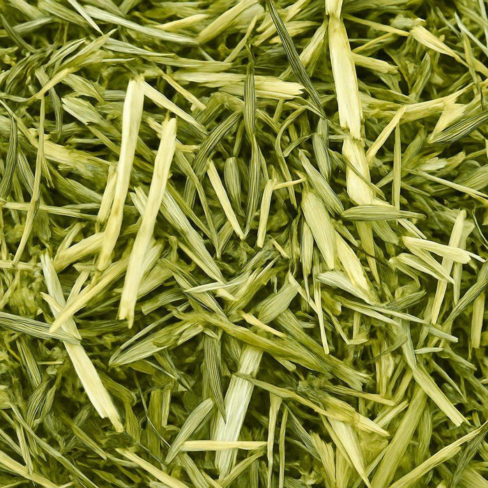 Green Oat Hay – High Fibre Hay | Twigs & Burrows
