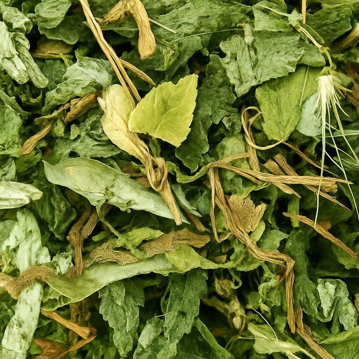 Leaf Mix Blend – Wild Rabbit Forage | Twigs & Burrows